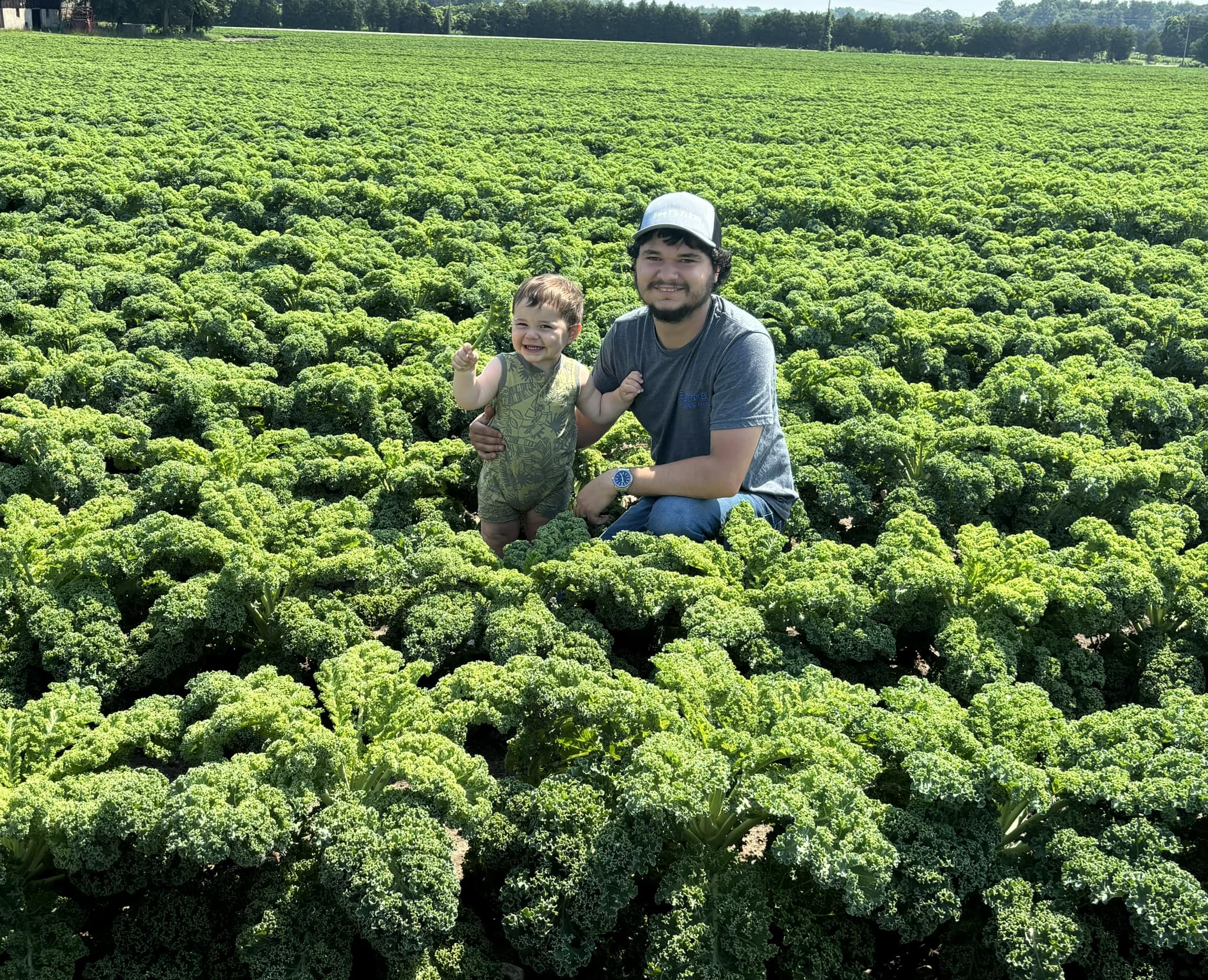 Boot's Farm - Fraberts Fresh Food